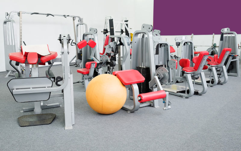 Die 5 besten Vibroshaper | WUNDERFITNESS